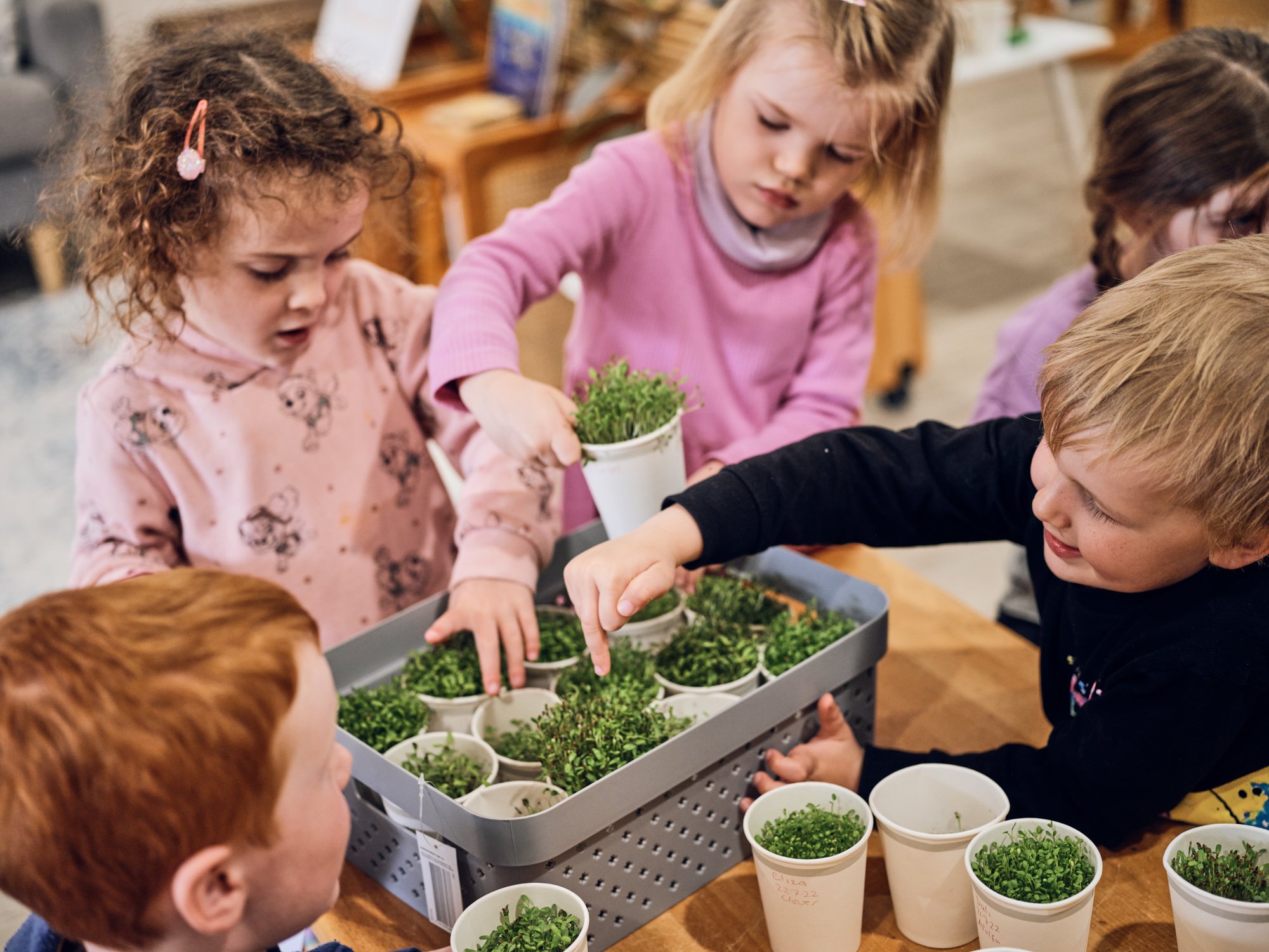 Gowrie NSW | Early Learning Centres | Early Education & Early Childhood ...