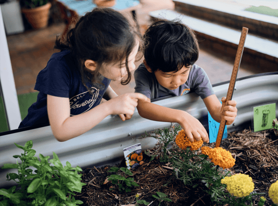 7 Fun Cooperative Play Activities for Children to Try at Home