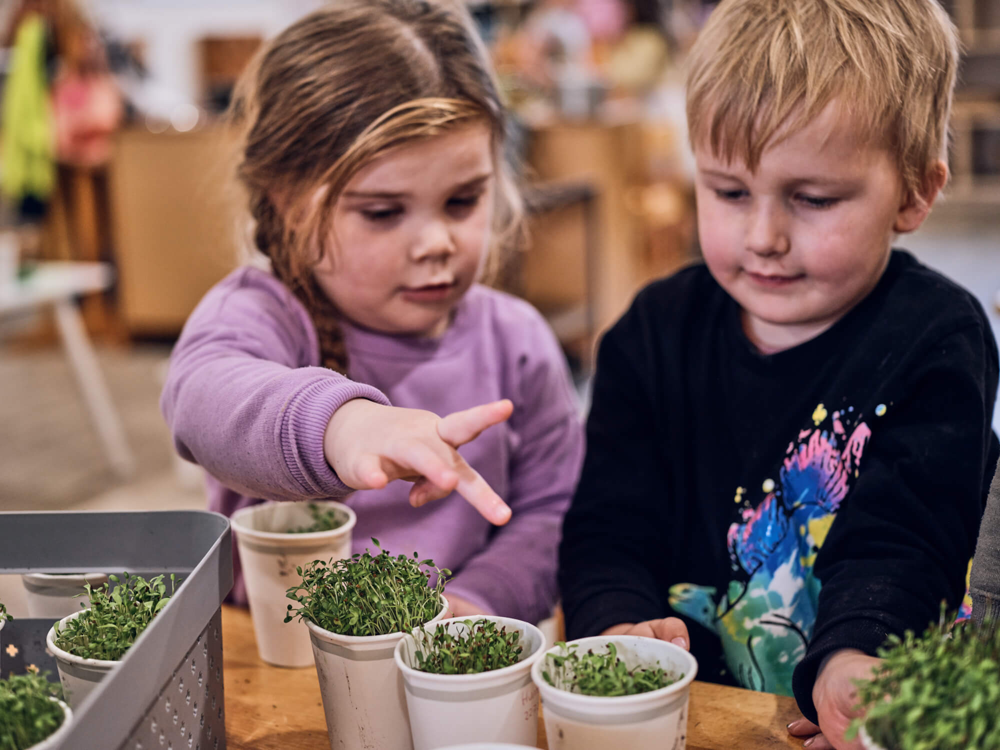 Understanding Sensory Adaptation: 5 Ways It Affects Your Behaviour