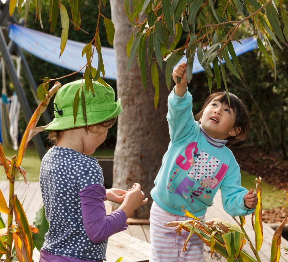 The Importance of STEM in Early Childhood Education